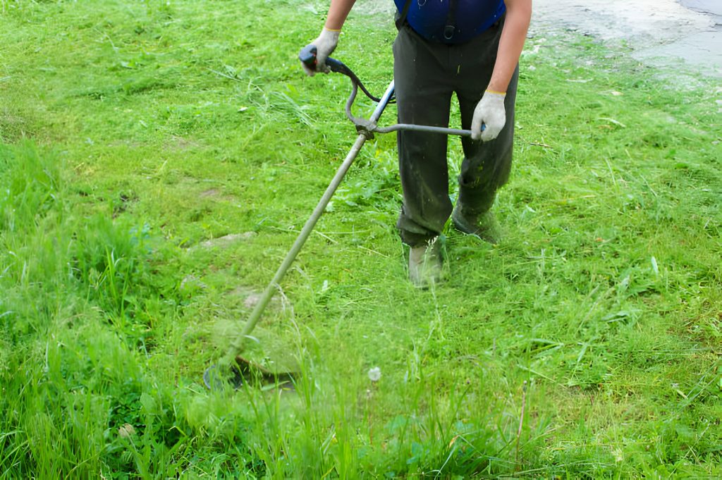 Dethatching Tips for a Lush Lawn | Thatch Removal Techniques