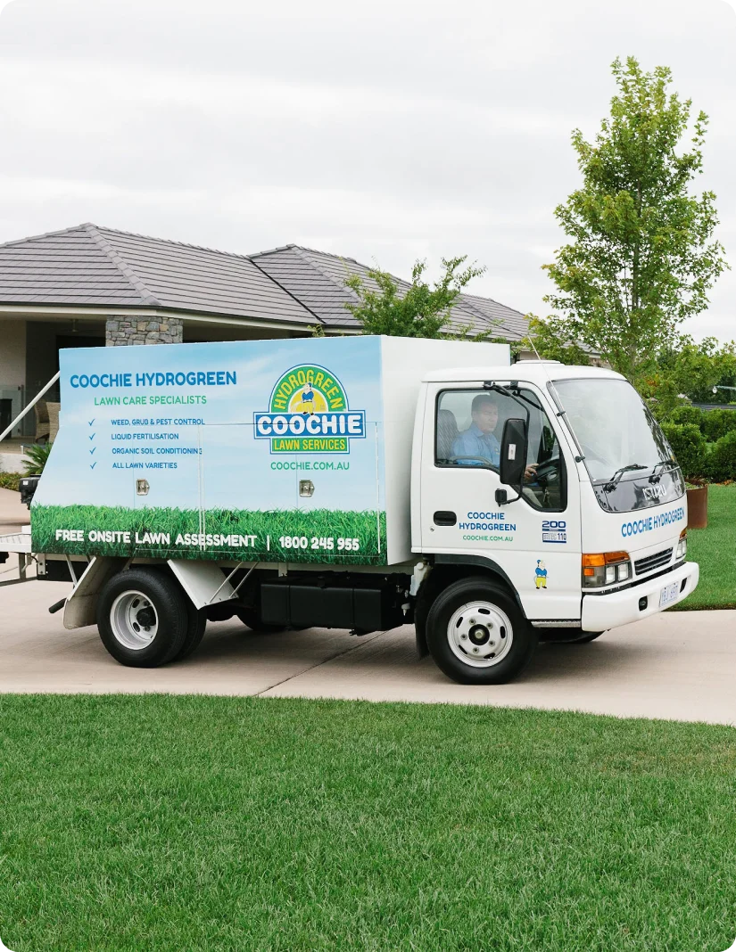 Franchise Expression Coochie Hydrogreen Lawn Care And Maintenances