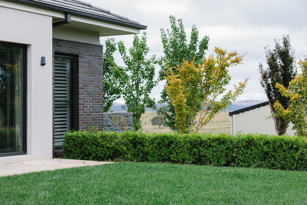 5 Easy Steps to a Perfect Lawn for New Homeowners | Simple Lawn Care Guide
