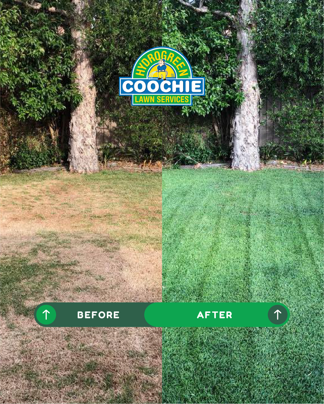 Is Your Lawn Too Thin for Play? How to Build a More Resilient, Family ...